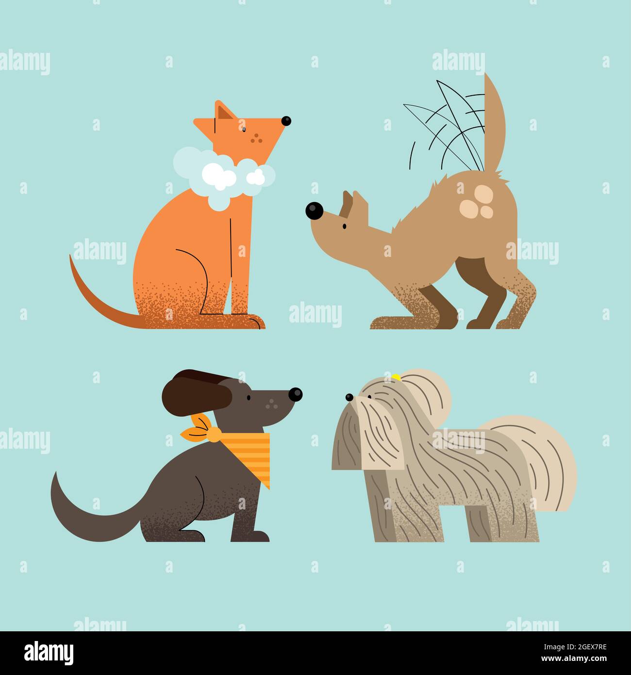 four pets washing characters icons Stock Vector Image & Art - Alamy