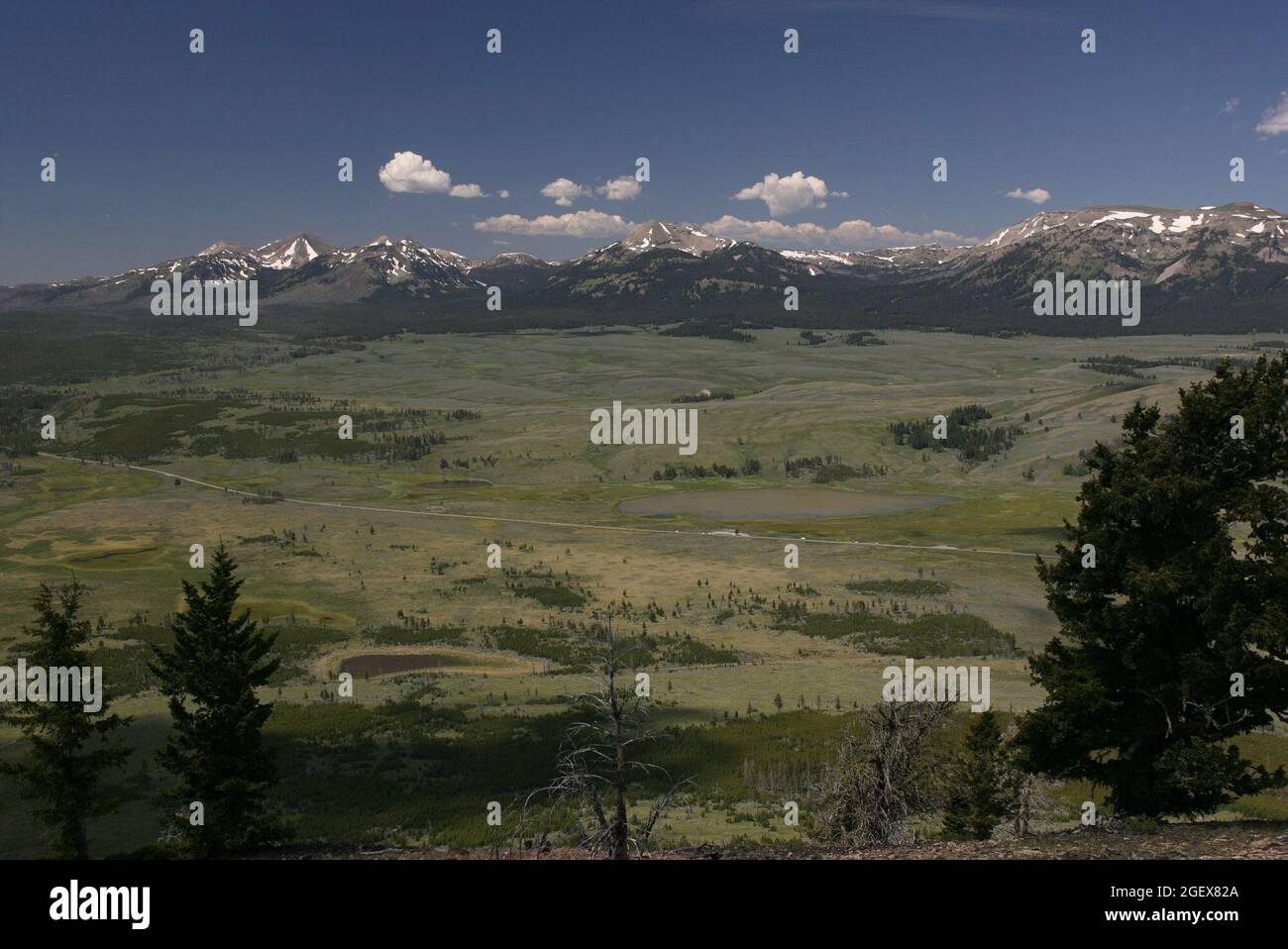 Looking across a flat green area with mountains in the background.View ...