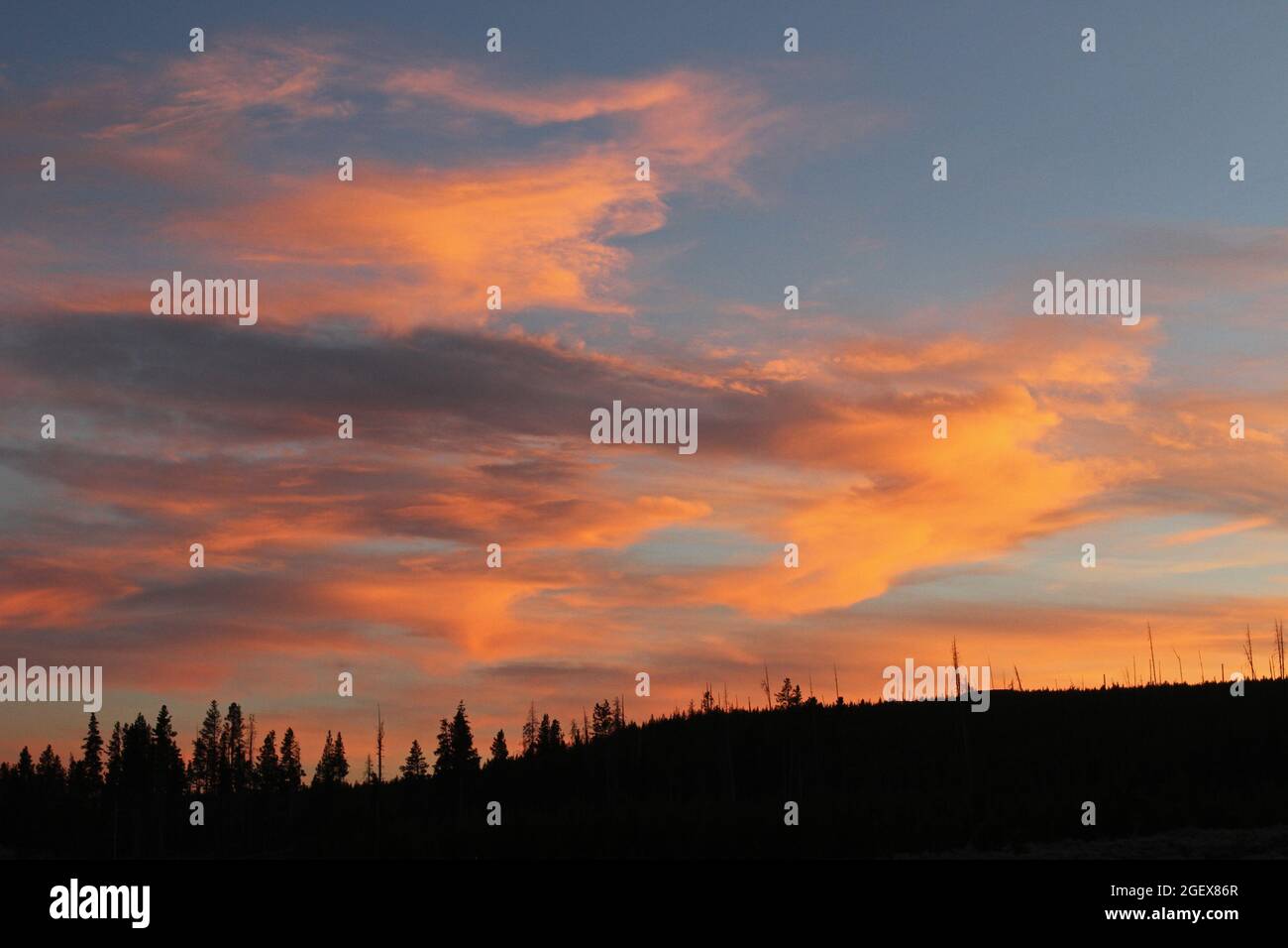 A dark hillside has pink clouds over itSunset on Swan Lake Flat ; Date ...