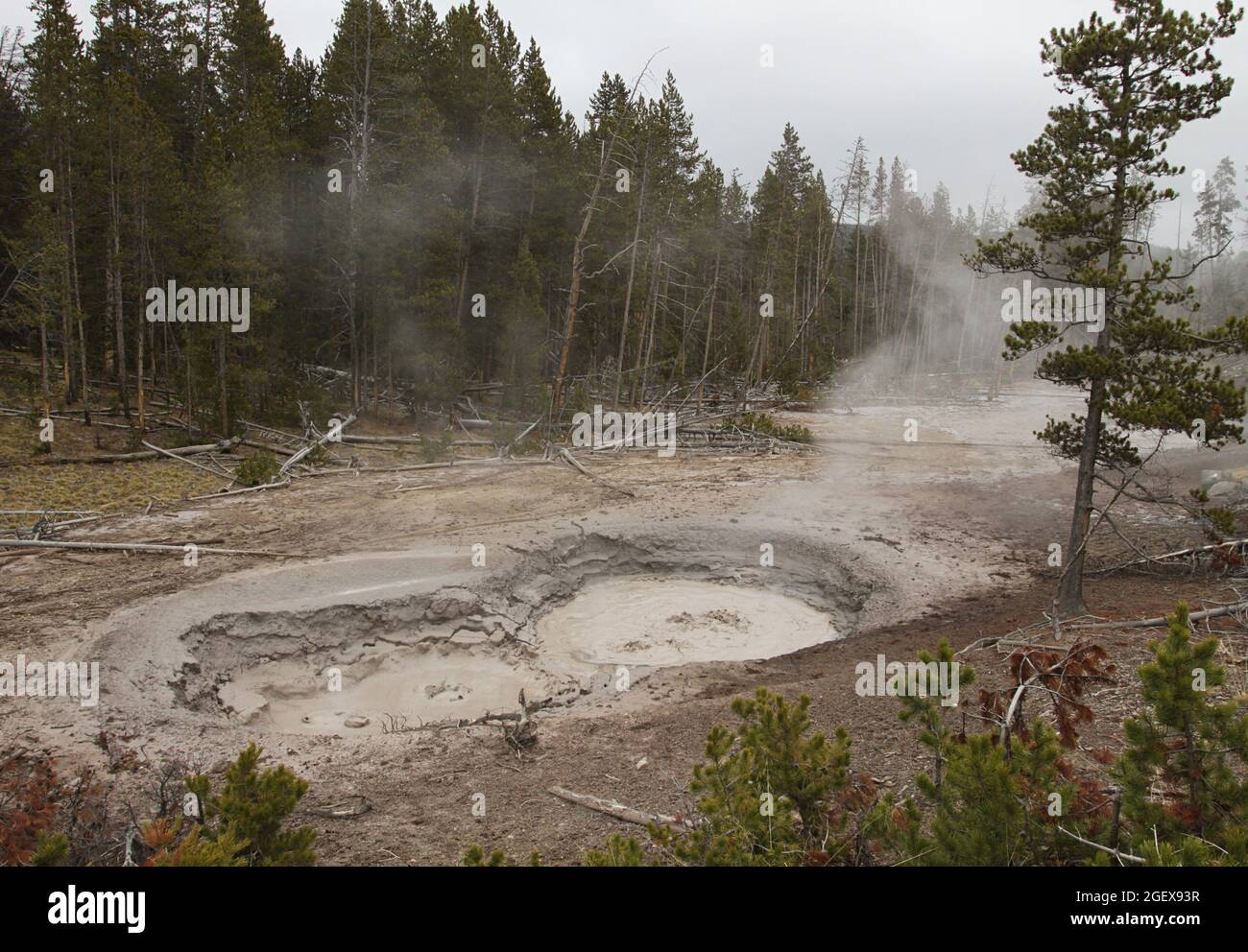 Mudpots yellowstone national park hi-res stock photography and images ...