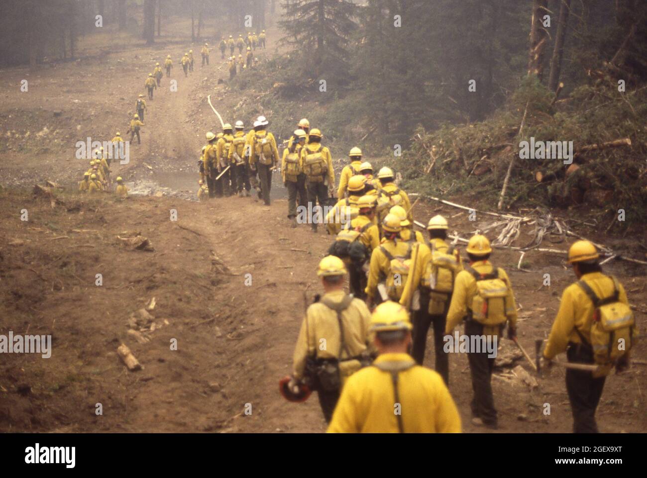 A long line of firefighter with yellow fire resistant shirts and ...