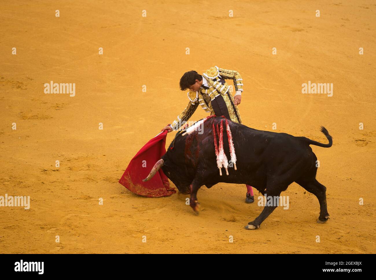 Malaga, Spain. 22nd Aug, 2021. Peruvian bullfighter Andres Roca Rey ...
