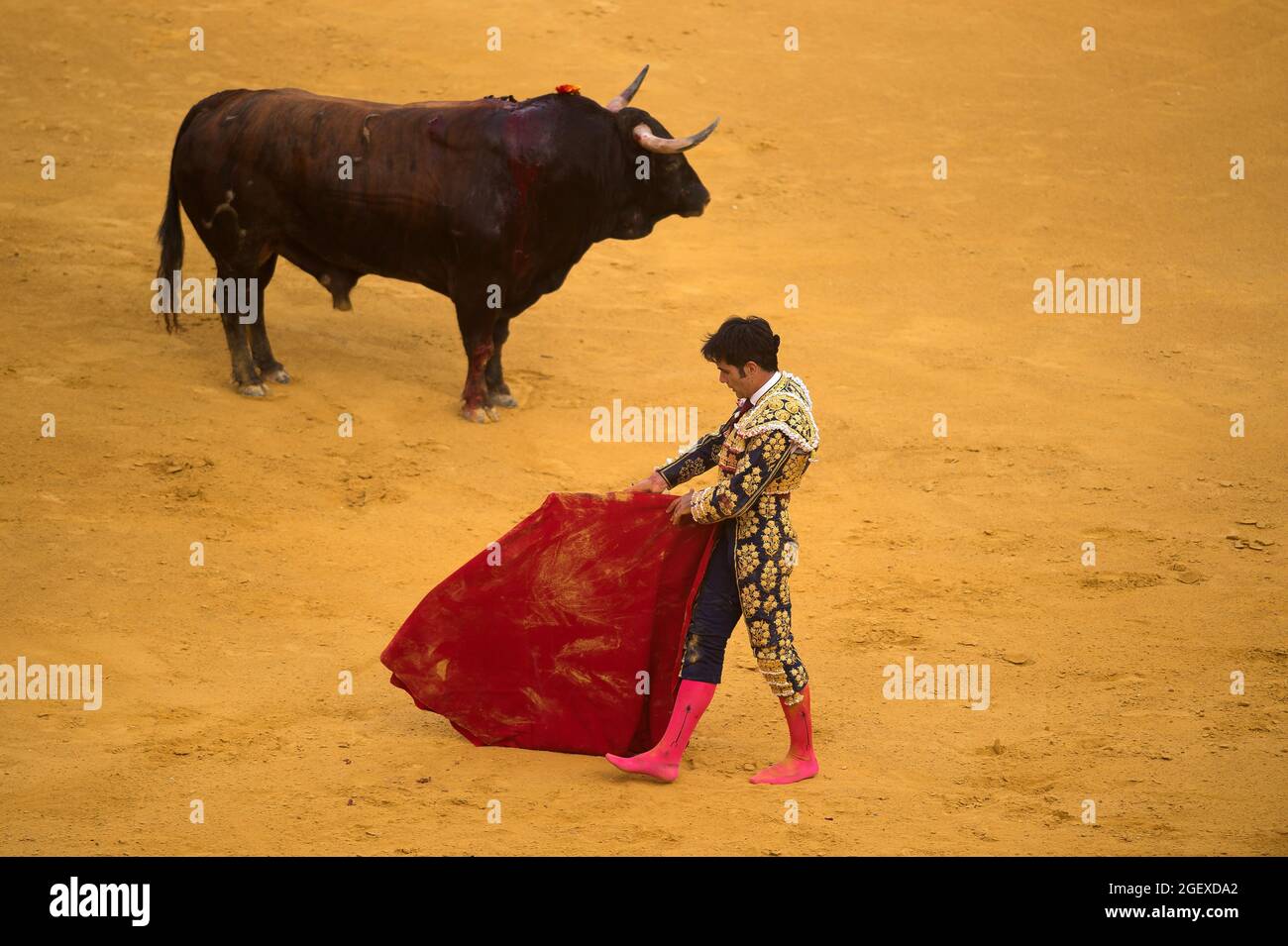Malaga, Spain. 22nd Aug, 2021. Spanish bullfighter Salvador Vega seen ...