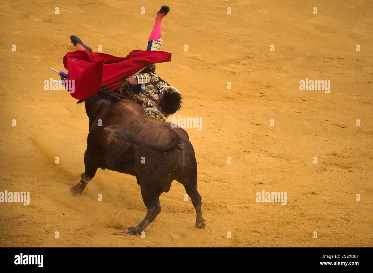 Bullfighter gored hi-res stock photography and images - Alamy