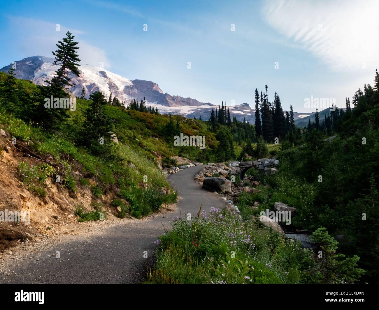 Mount Rainier Paradise Area Trail Stock Photo - Alamy