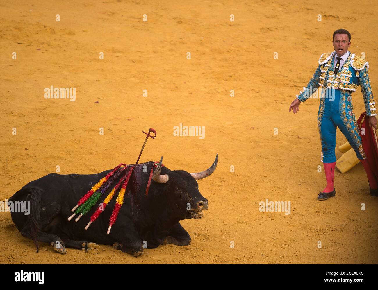 Olay Bullfighting