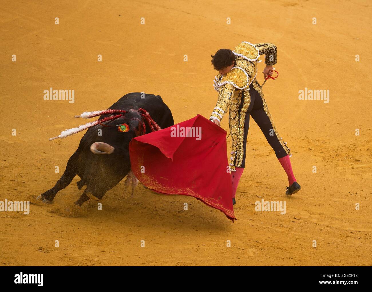 Peruvian bullfighter Andres Roca Rey performs a pass to a bull during a ...