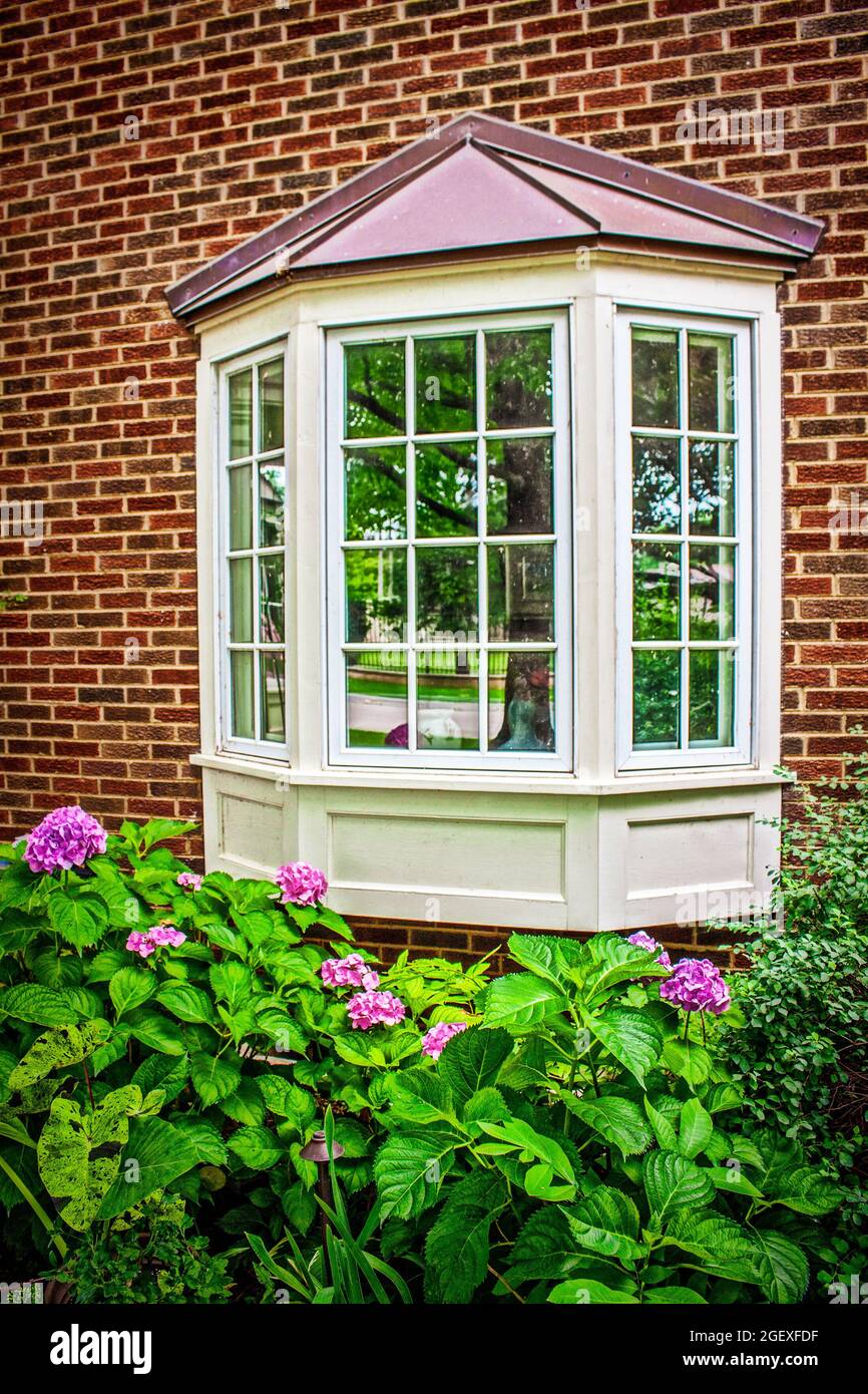 Bay Window With Bed at Kaitlyn Corkill blog