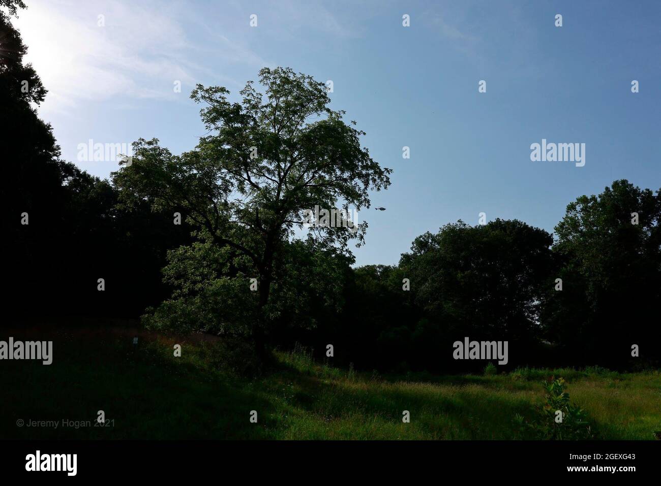 Work injury accident line hi-res stock photography and images - Alamy