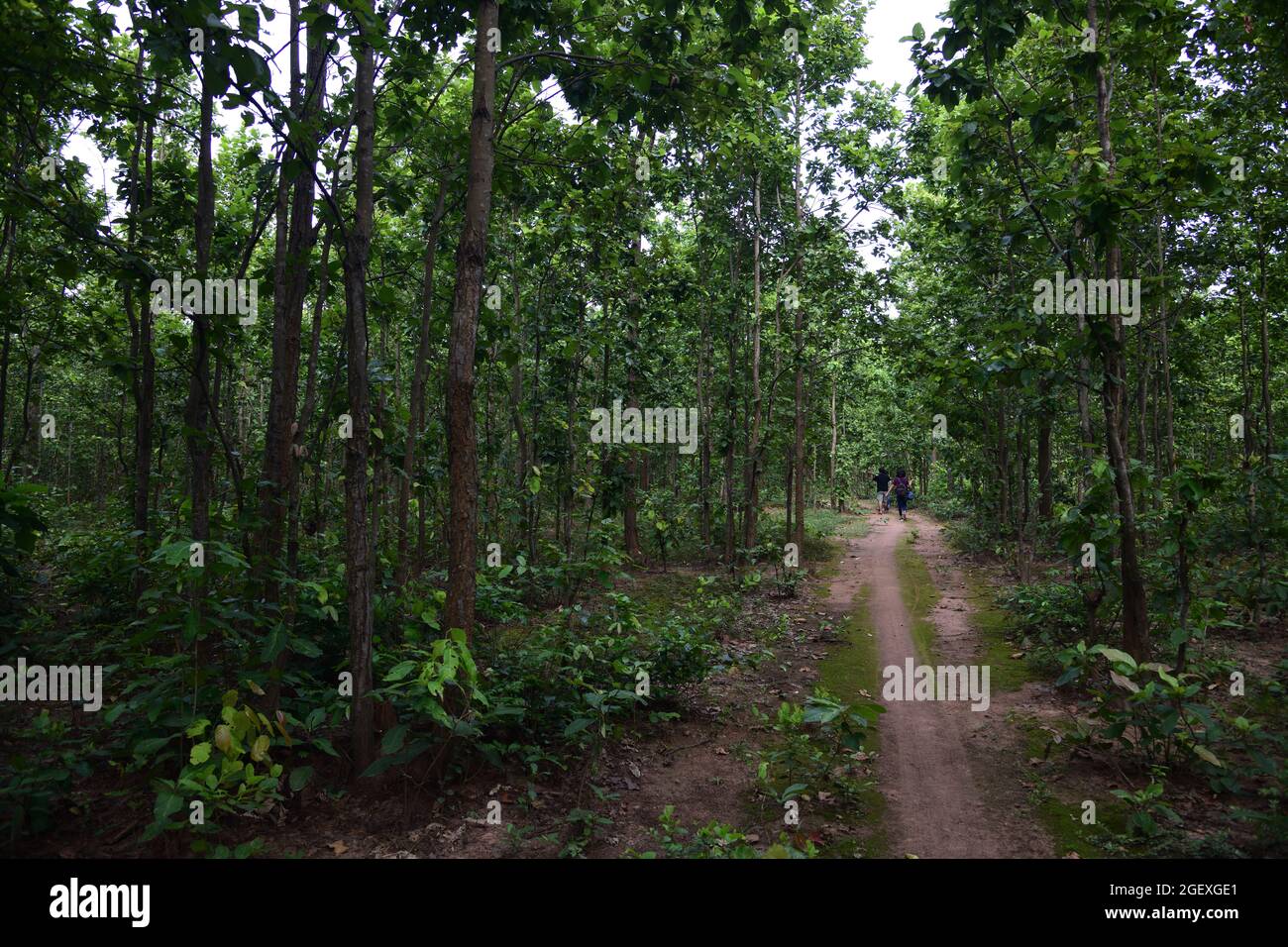 Joypur hi-res stock photography and images - Alamy