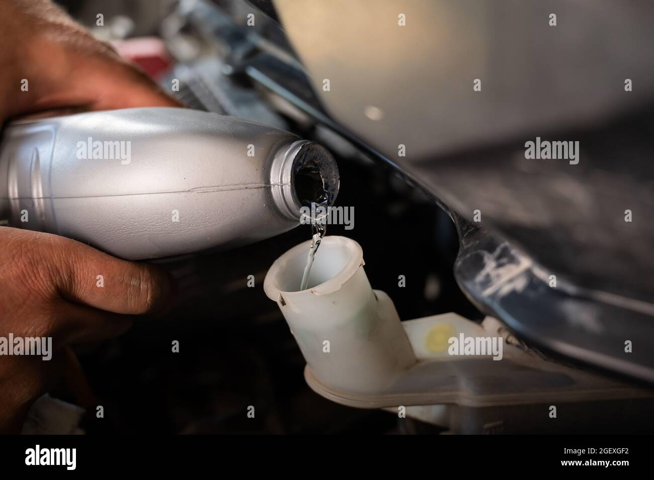 An auto mechanic pours brake fluid into the car Stock Photo - Alamy