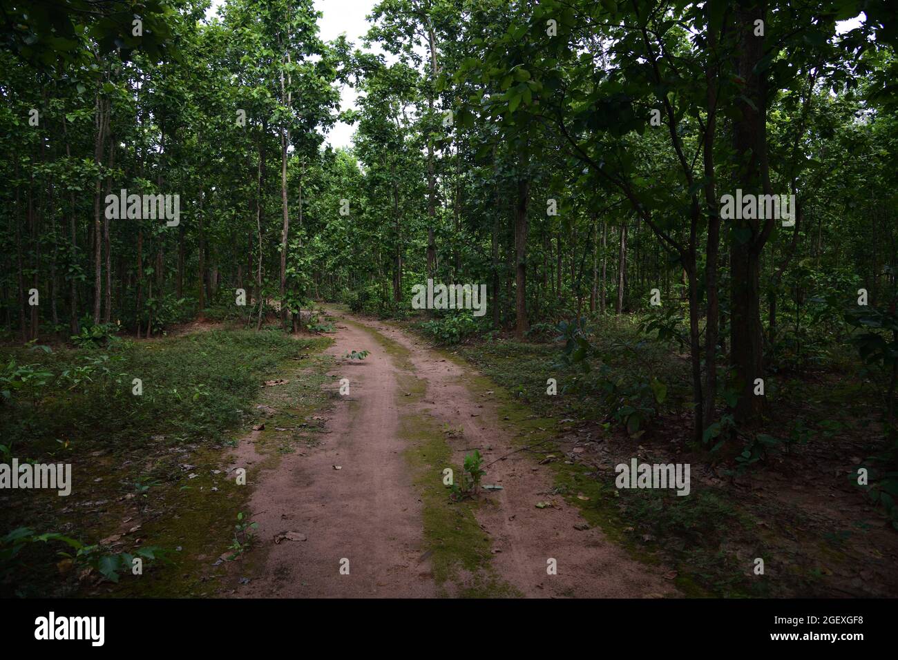 Joipur hi-res stock photography and images - Alamy