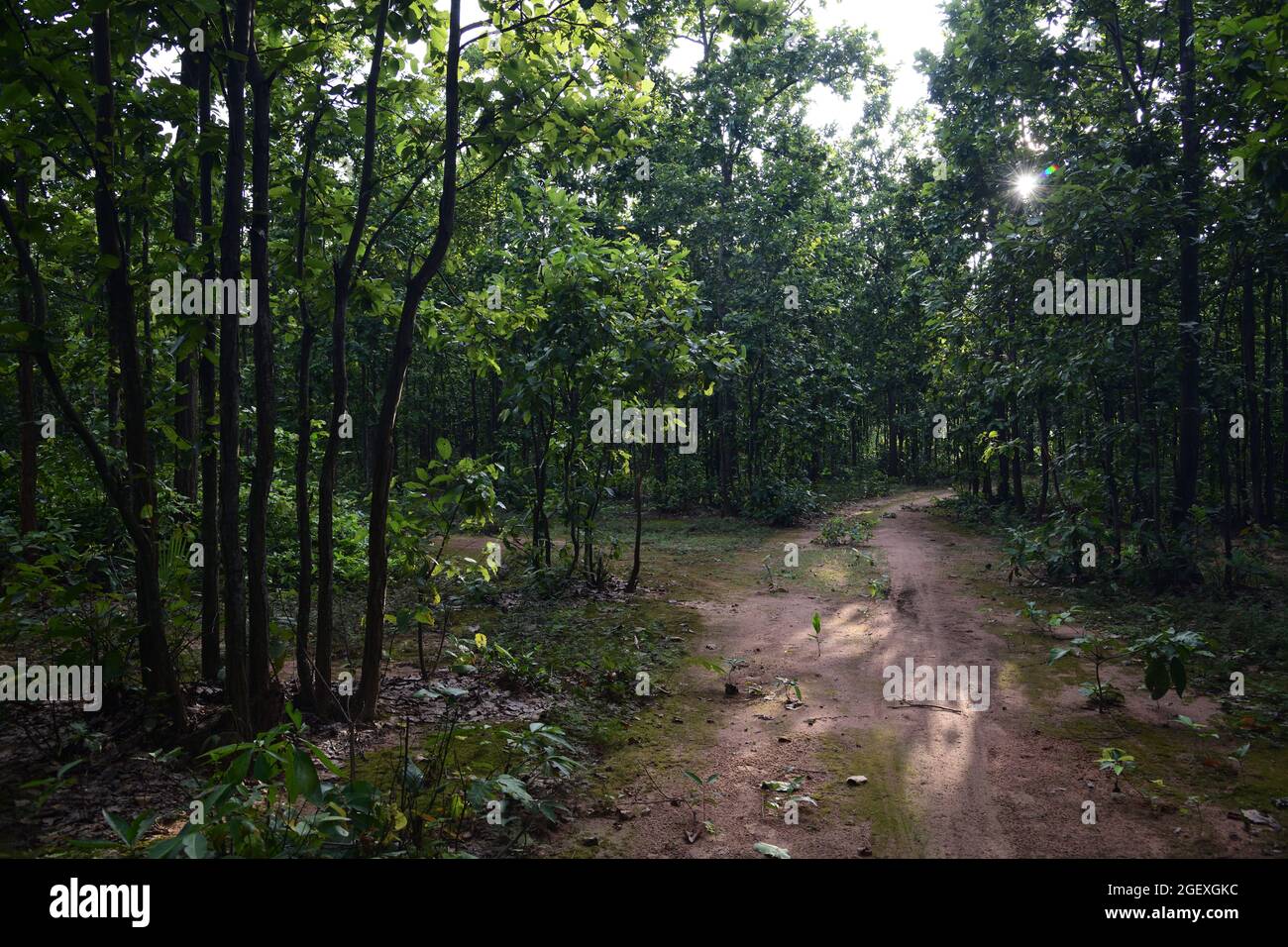 Joipur hi-res stock photography and images - Alamy