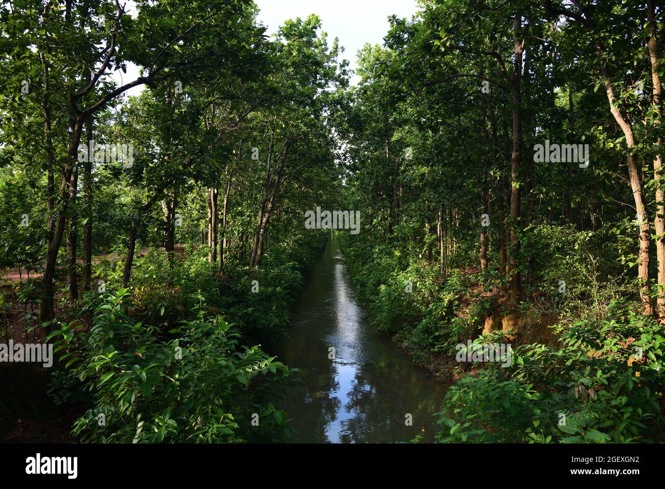 Joipur hi-res stock photography and images - Alamy