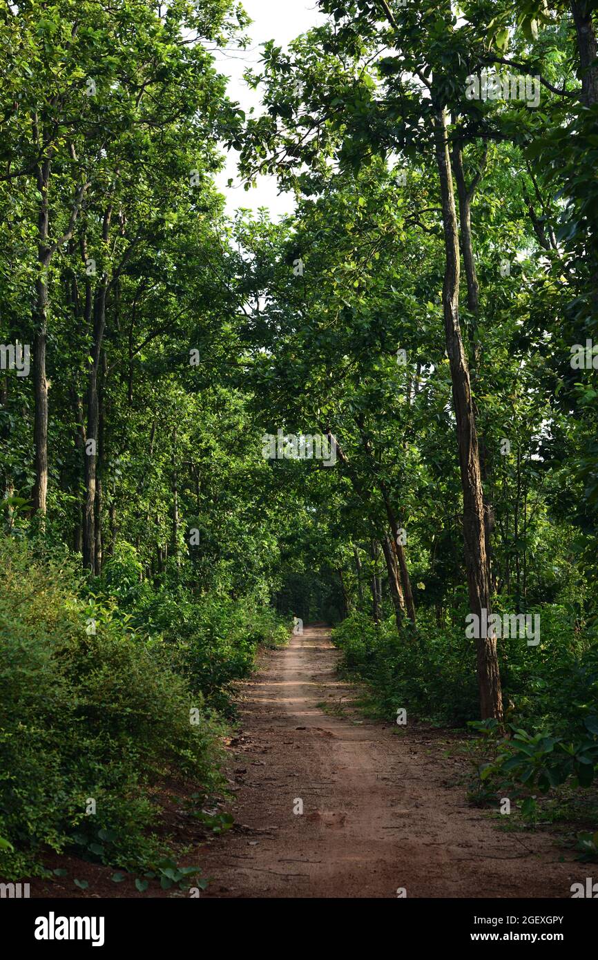 Joipur hi-res stock photography and images - Alamy