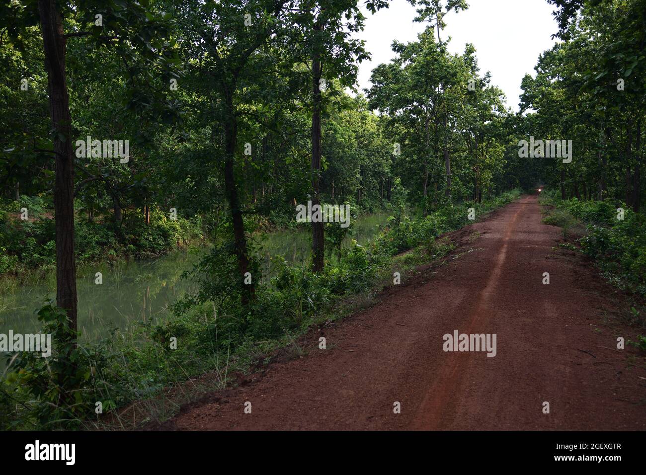 Joipur hi-res stock photography and images - Alamy