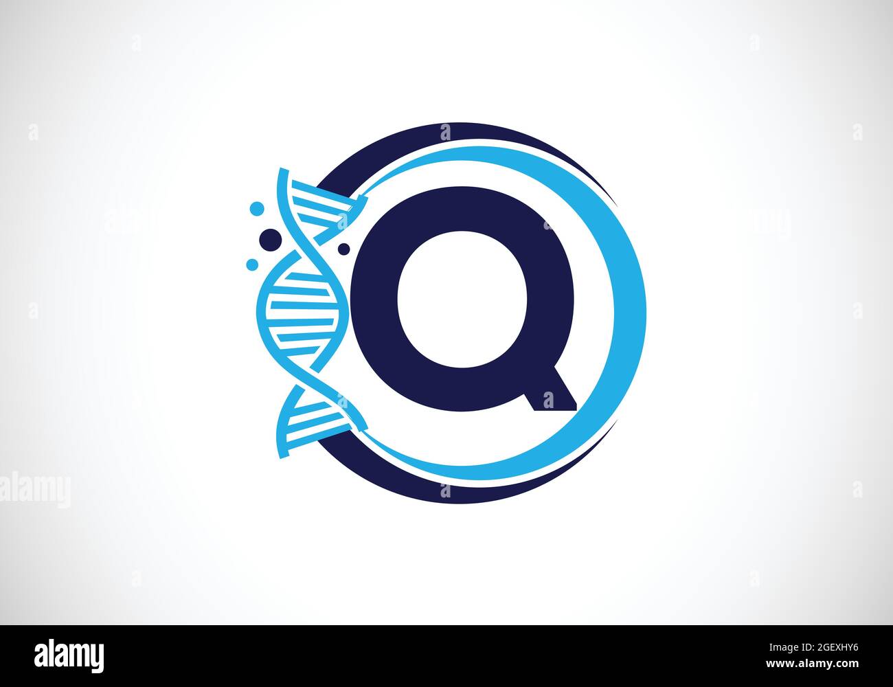 Initial Q monogram alphabet in a circle with DNA. Genetics logo design ...