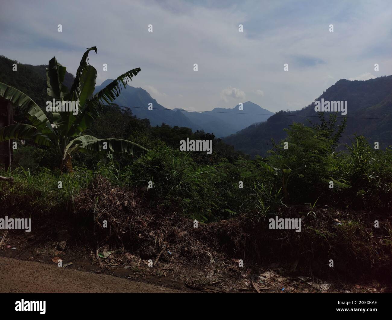 Muria indonesia hi-res stock photography and images - Alamy