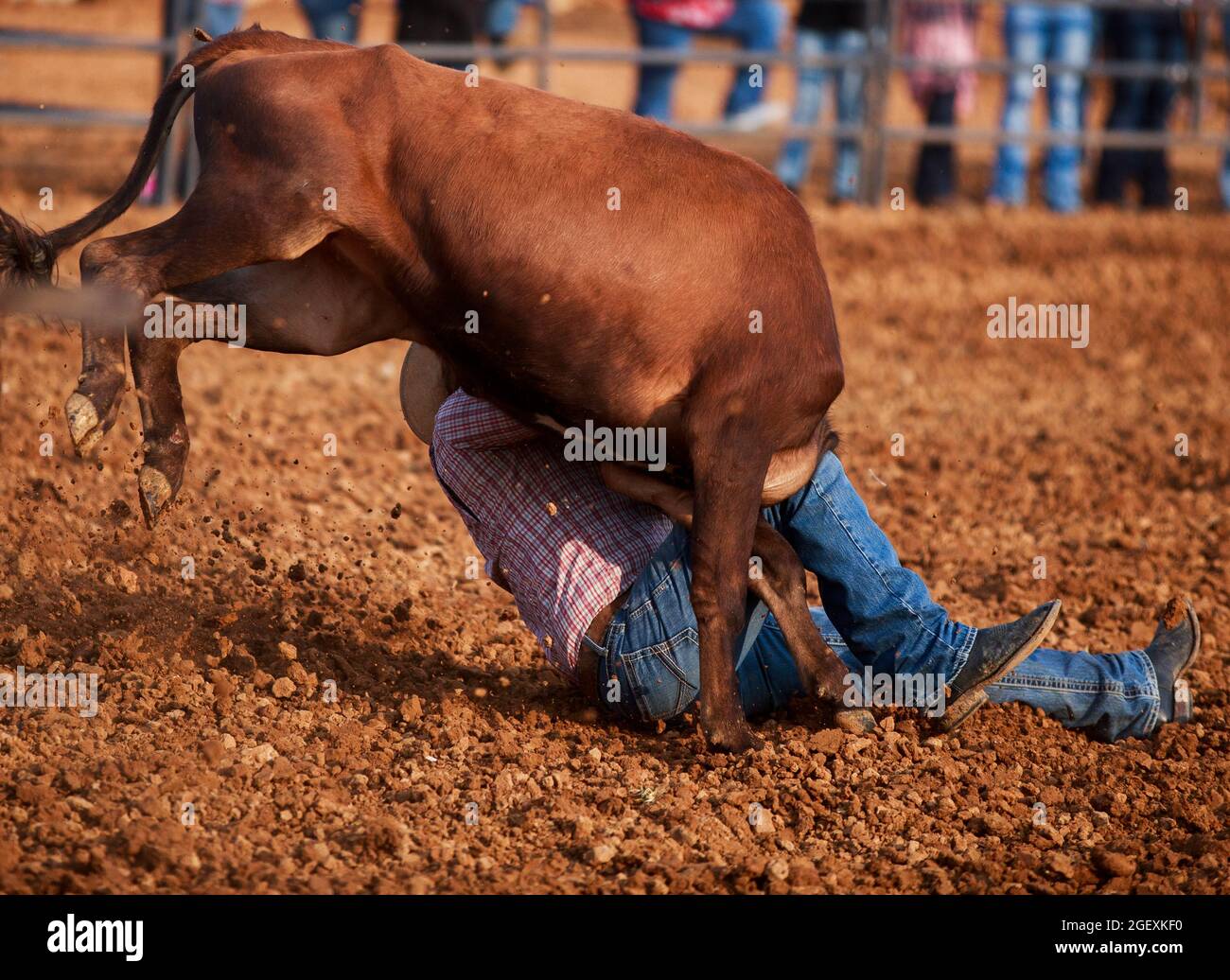 July 3, 2021; Bloomington, Indiana: 3 Bar J Rodeo, July 2nd at the ...