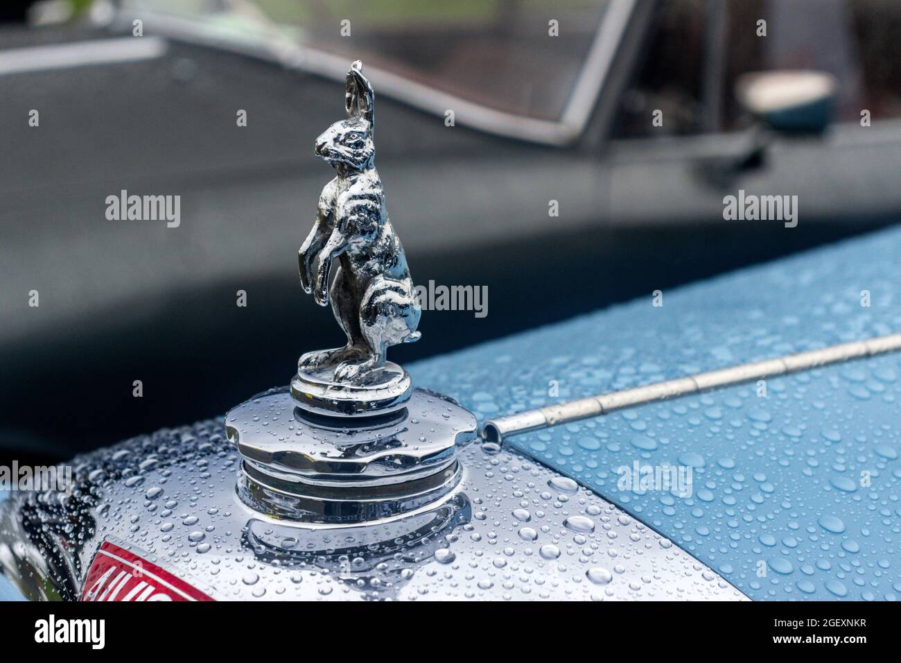 Alvis bonnet mascot. Classic & Performance Car Spectacular 2021 Stock ...