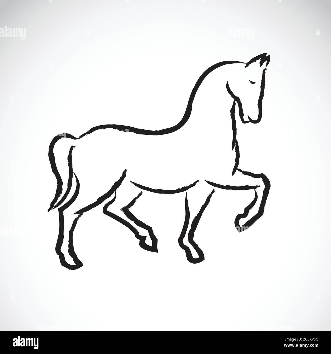 Vector of a horse on white background. Easy editable layered vector ...