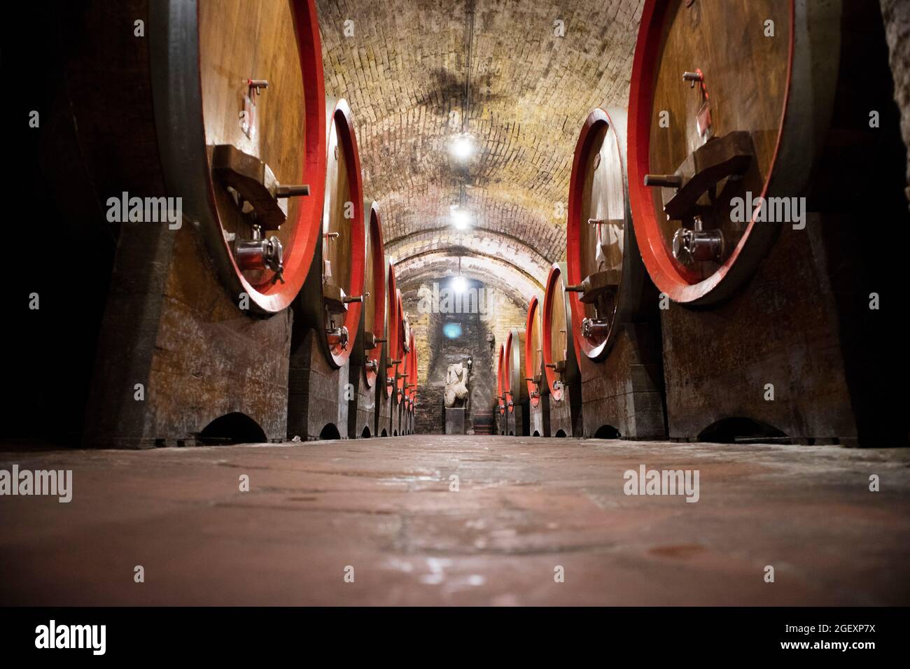 Ancient underground cellar with wooden barrels for the best ...
