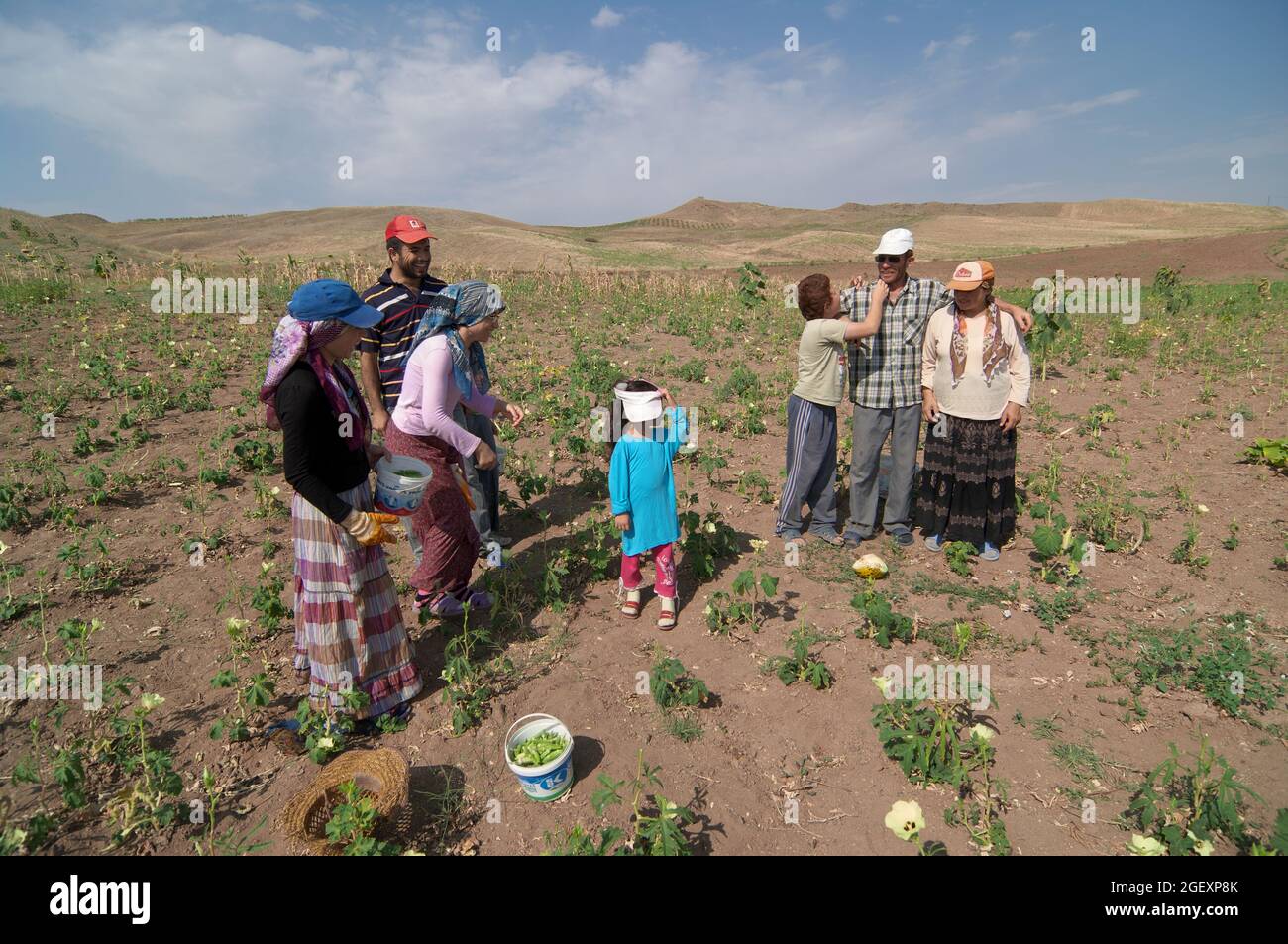 Farming agriculture turkey hi-res stock photography and images - Alamy