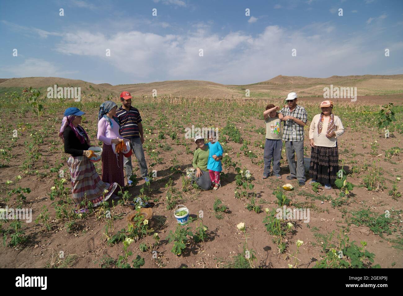 Farming agriculture turkey hi-res stock photography and images - Alamy