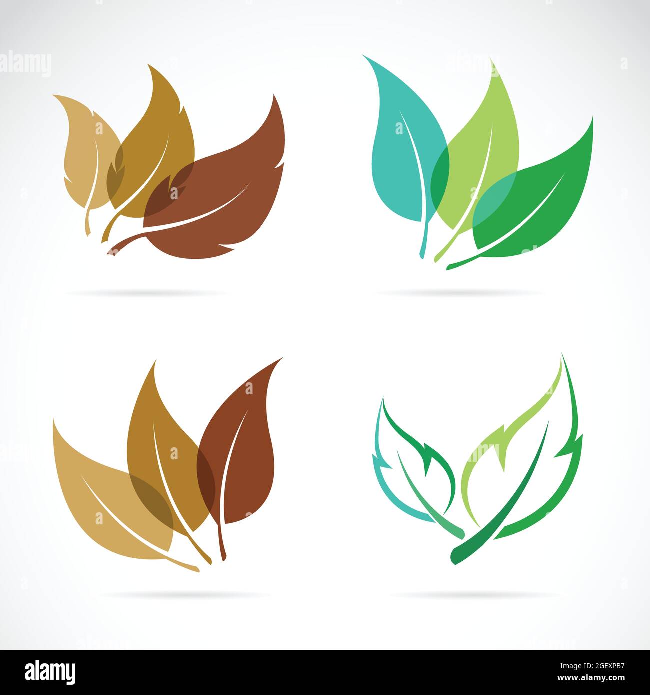Vector image of leaves design on white background. Easy editable ...