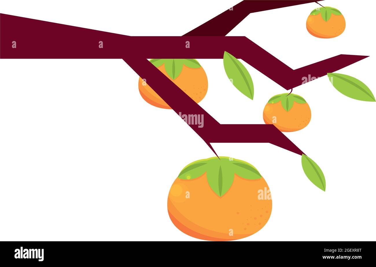 orange branch tree Stock Vector Image & Art - Alamy