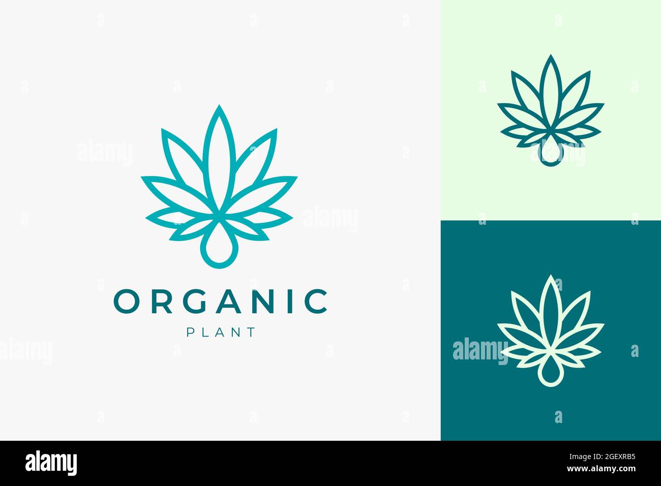 Cannabis store vector Stock Vector Images - Alamy