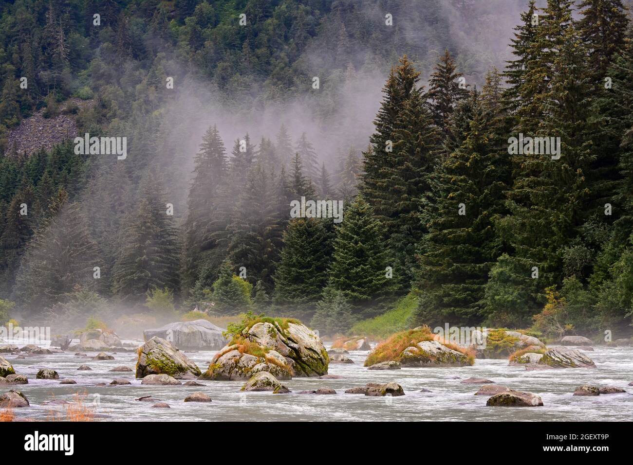 Chilkoot River near Haines, Alaska, North america Stock Photo - Alamy