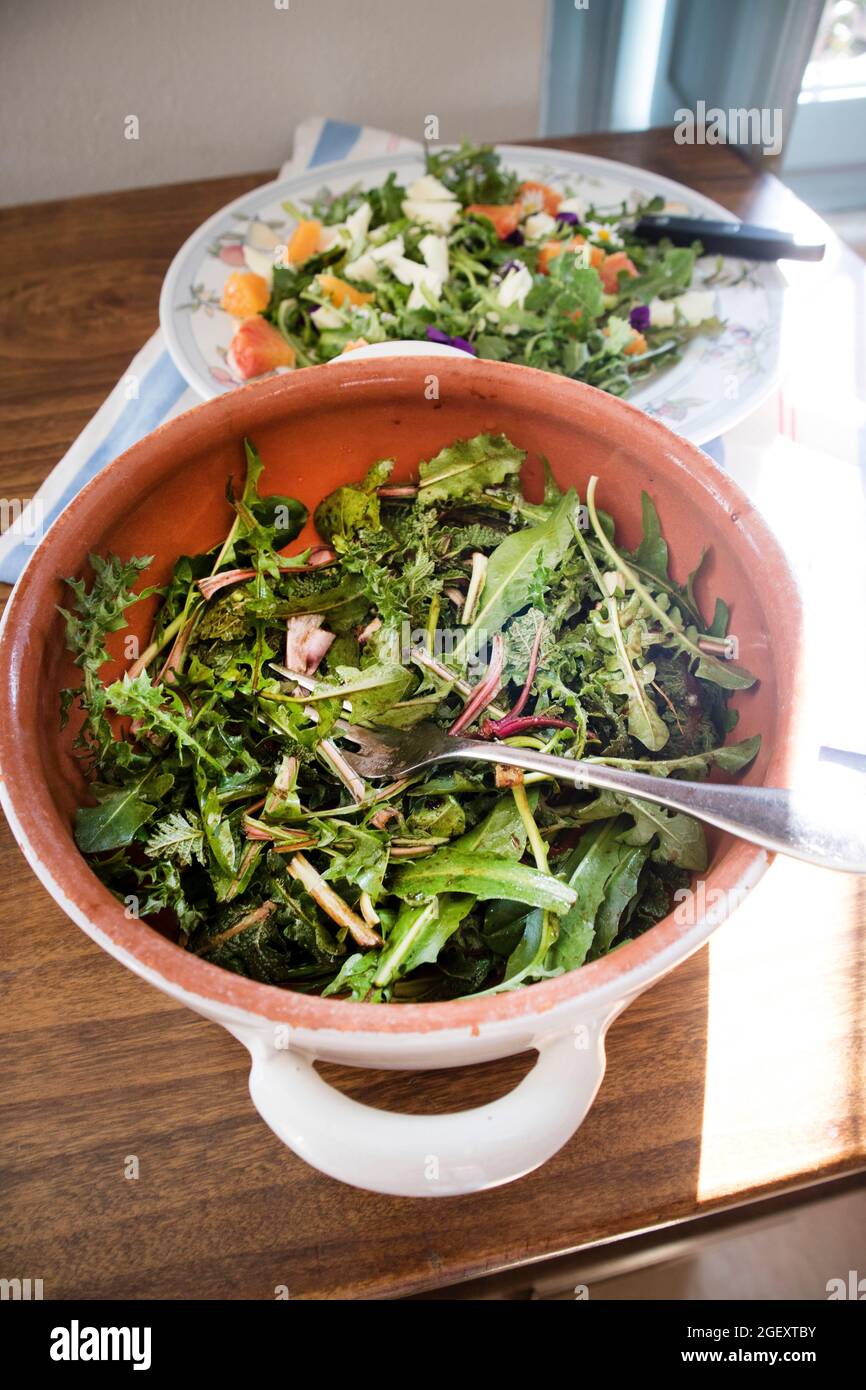 Contour based on fresh and wild grass for food use Stock Photo - Alamy