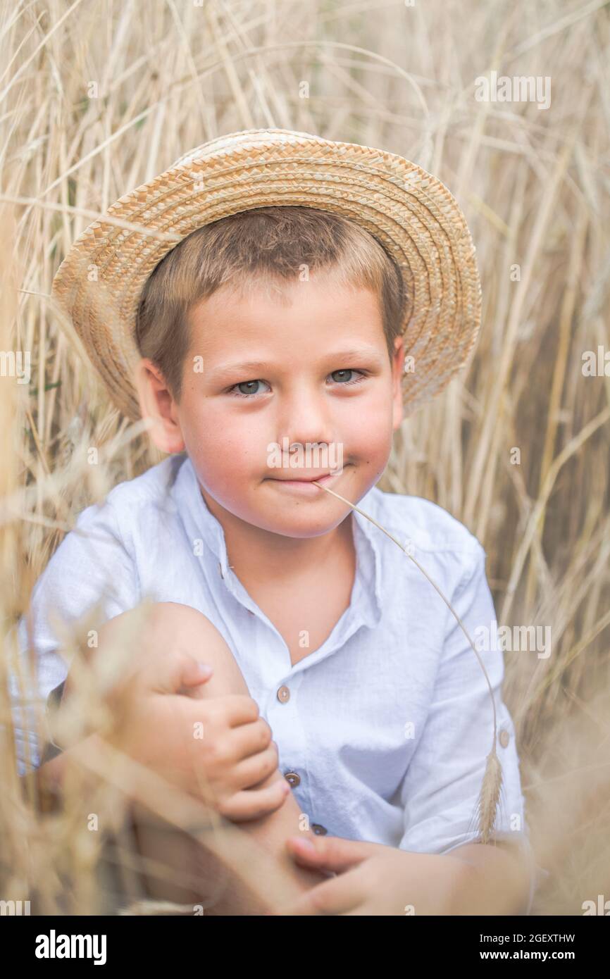Portrait child. Little boy on a wheat field in the sunlight over sunset ...