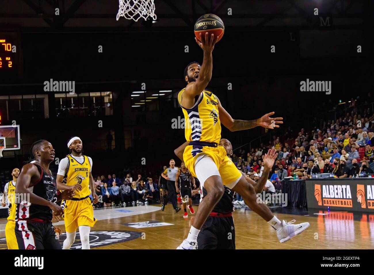 Peter mcneil hi-res stock photography and images - Alamy