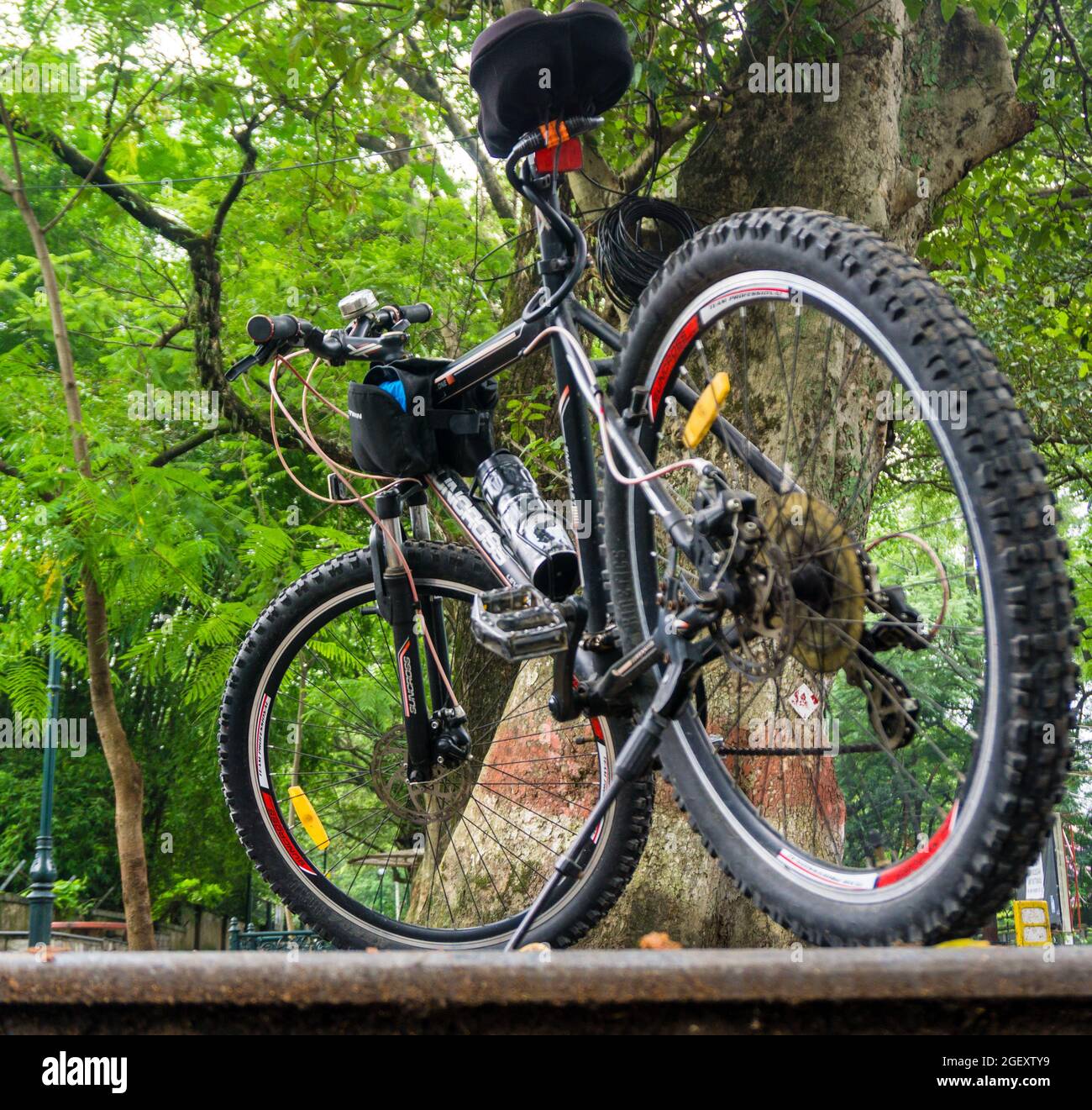 A wide-angle shot of a bicycle with a water bottle holder and carry ...