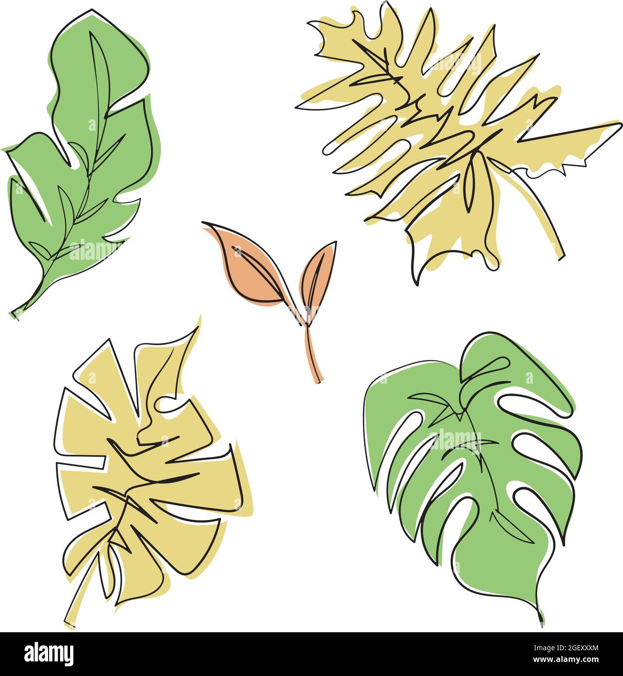 Set of monstera leaves in outline vector Stock Vector Image & Art - Alamy