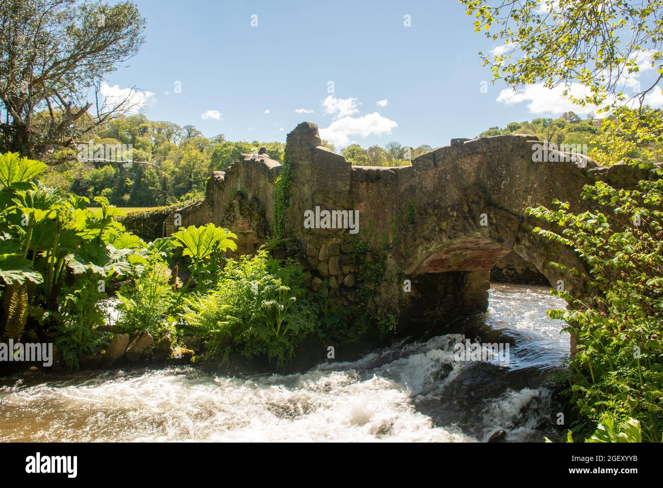 Fast running stream hi-res stock photography and images - Alamy