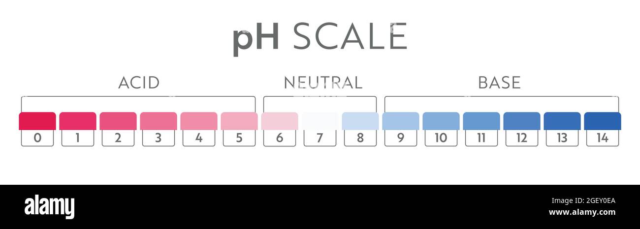 pH Value scale chart. Acid-base balance infographic. Education Poster Stock Vector Image & Art ...