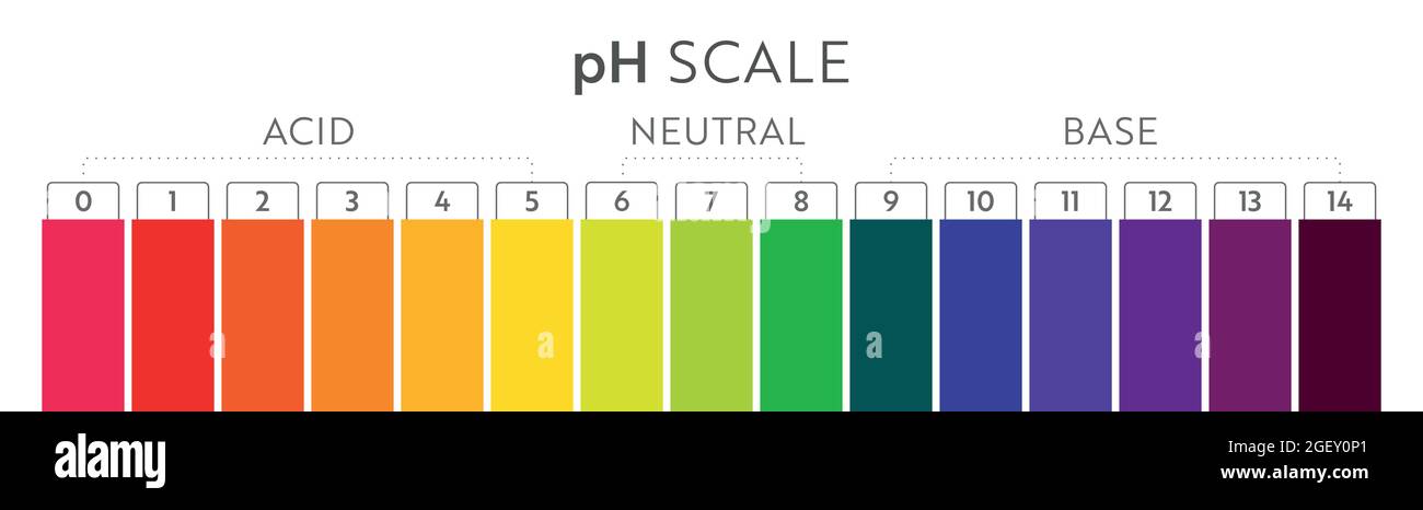 pH Value scale chart. Acid-base balance infographic. Education Poster Stock Vector Image & Art ...