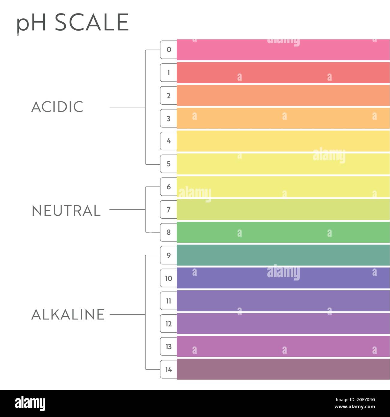 pH Value scale chart. Acid-base balance infographic. Education Poster Stock Vector Image & Art ...