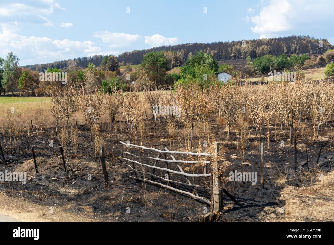 Agricultural disaster hi-res stock photography and images - Alamy