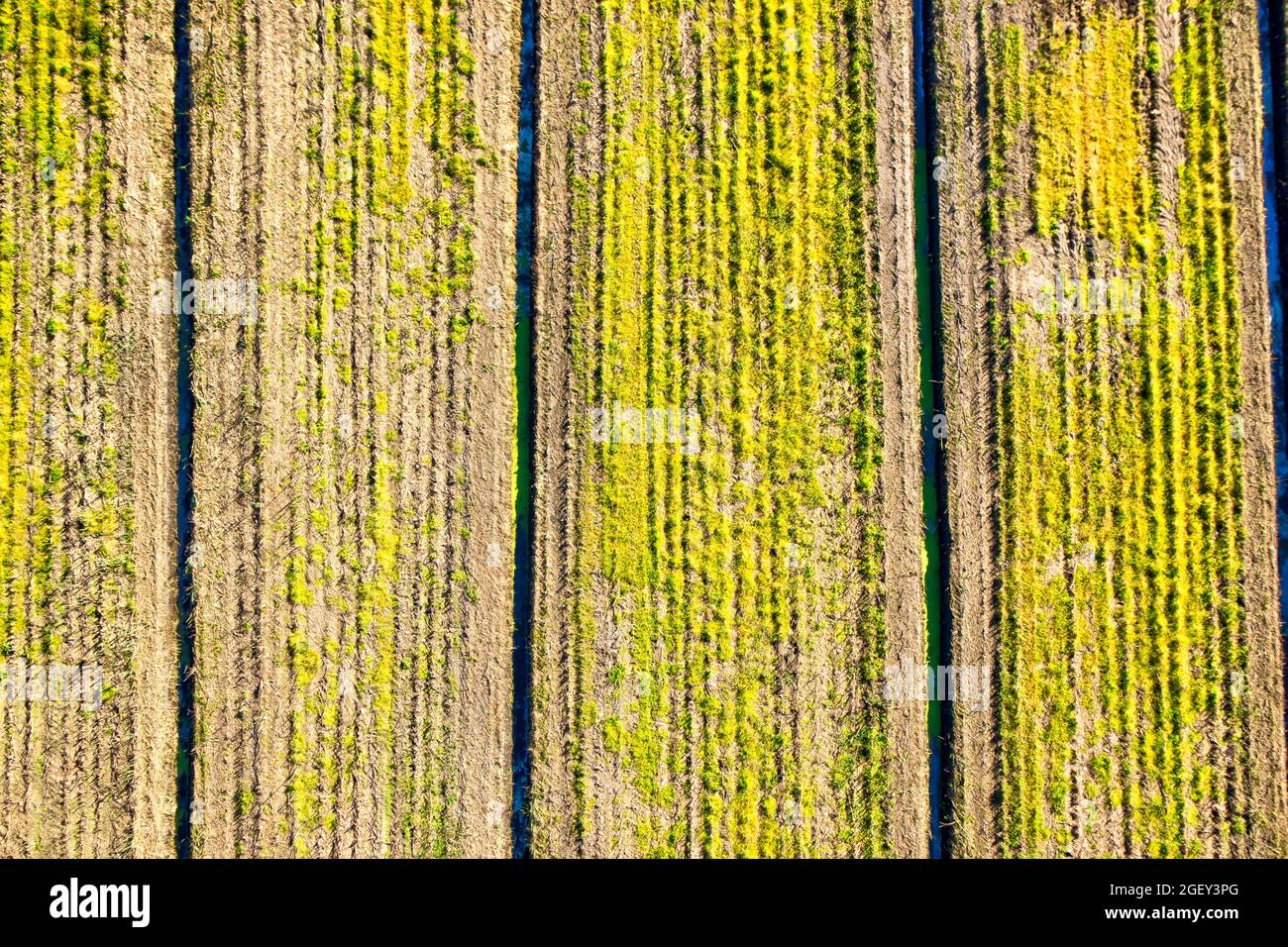 Shooting of fields left to rest for spring sowing Stock Photo - Alamy