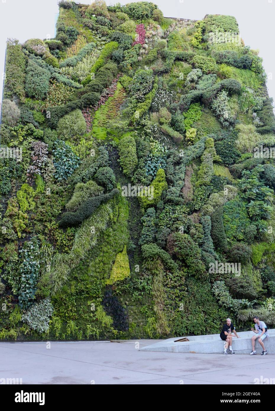 CaixaForum Museum square 78 foot high vertical garden with 250 species ...
