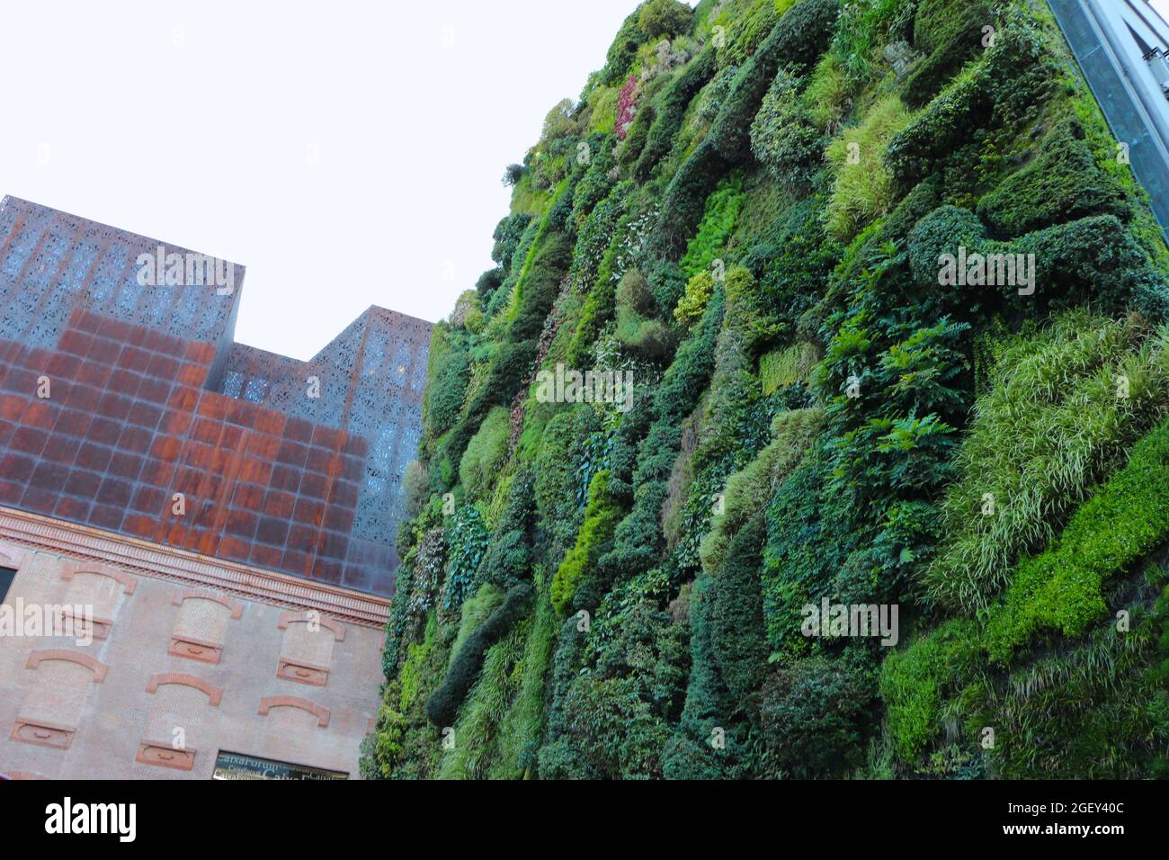 CaixaForum Museum square 78 foot high vertical garden with 250 species ...