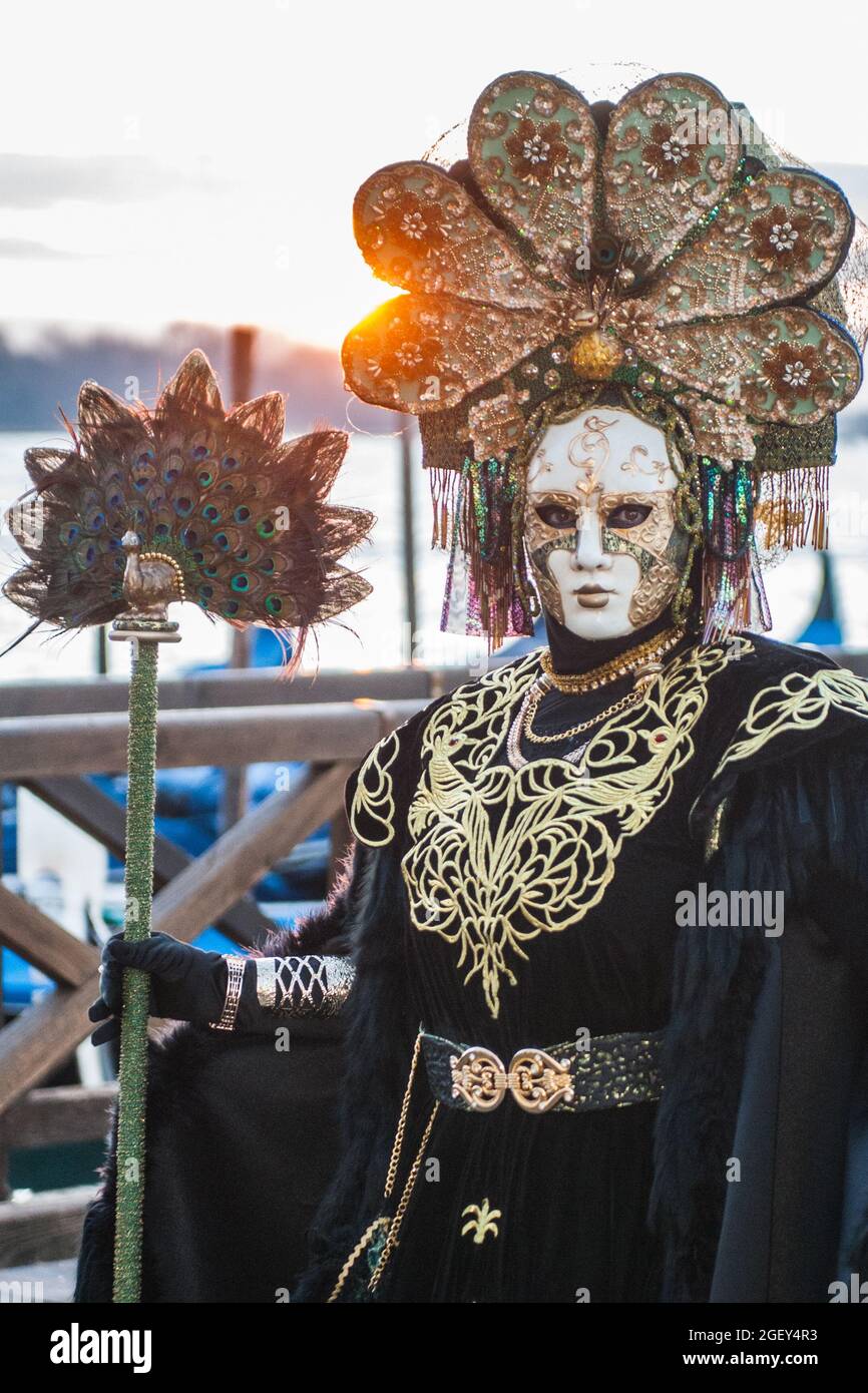A vertical shot of a person with a wand wearing a mask and carnival ...