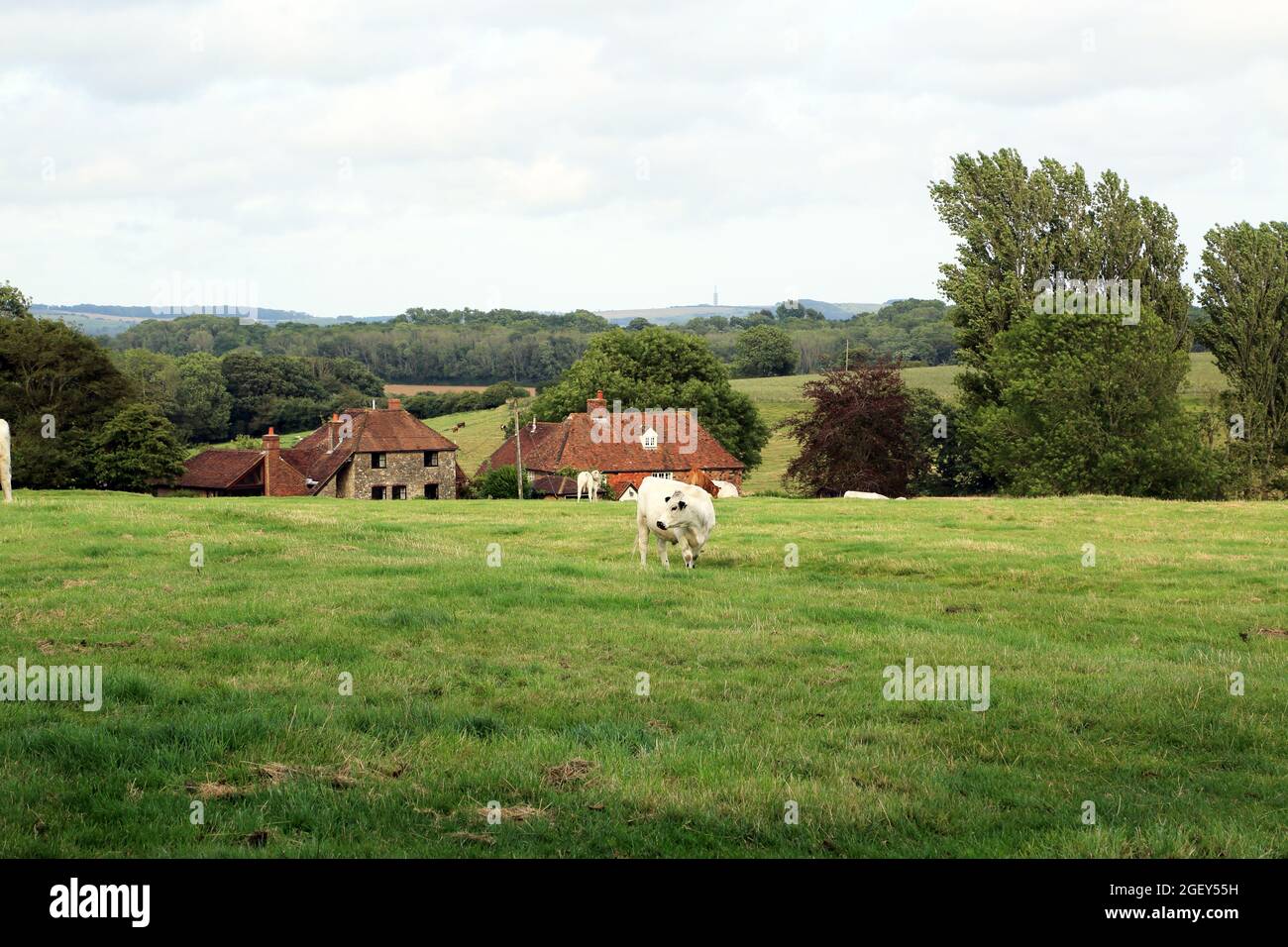 Aldington village hi-res stock photography and images - Alamy