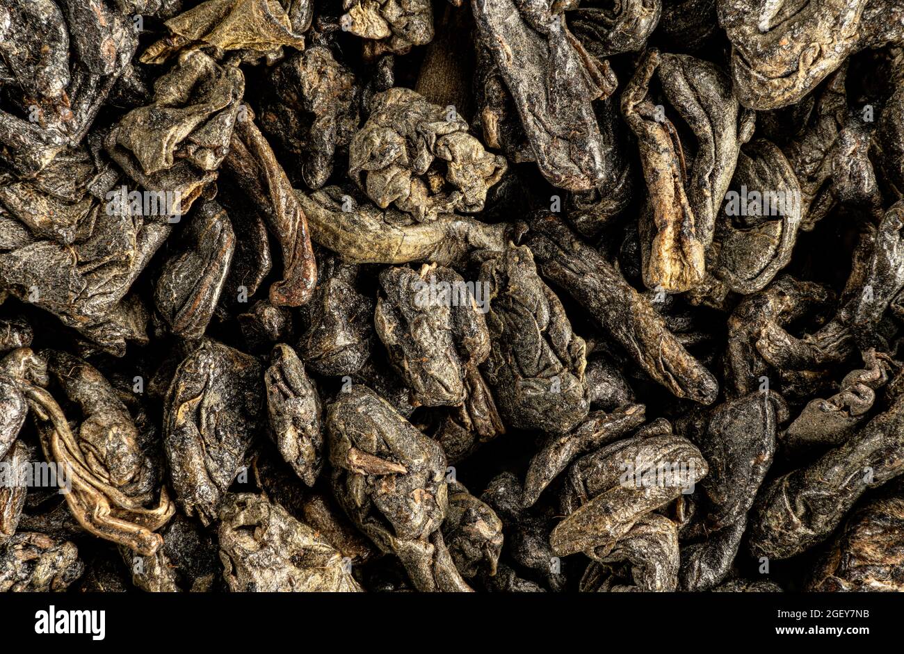 Green gunpowder tea, dry leaves under microscope, image width 23mm ...