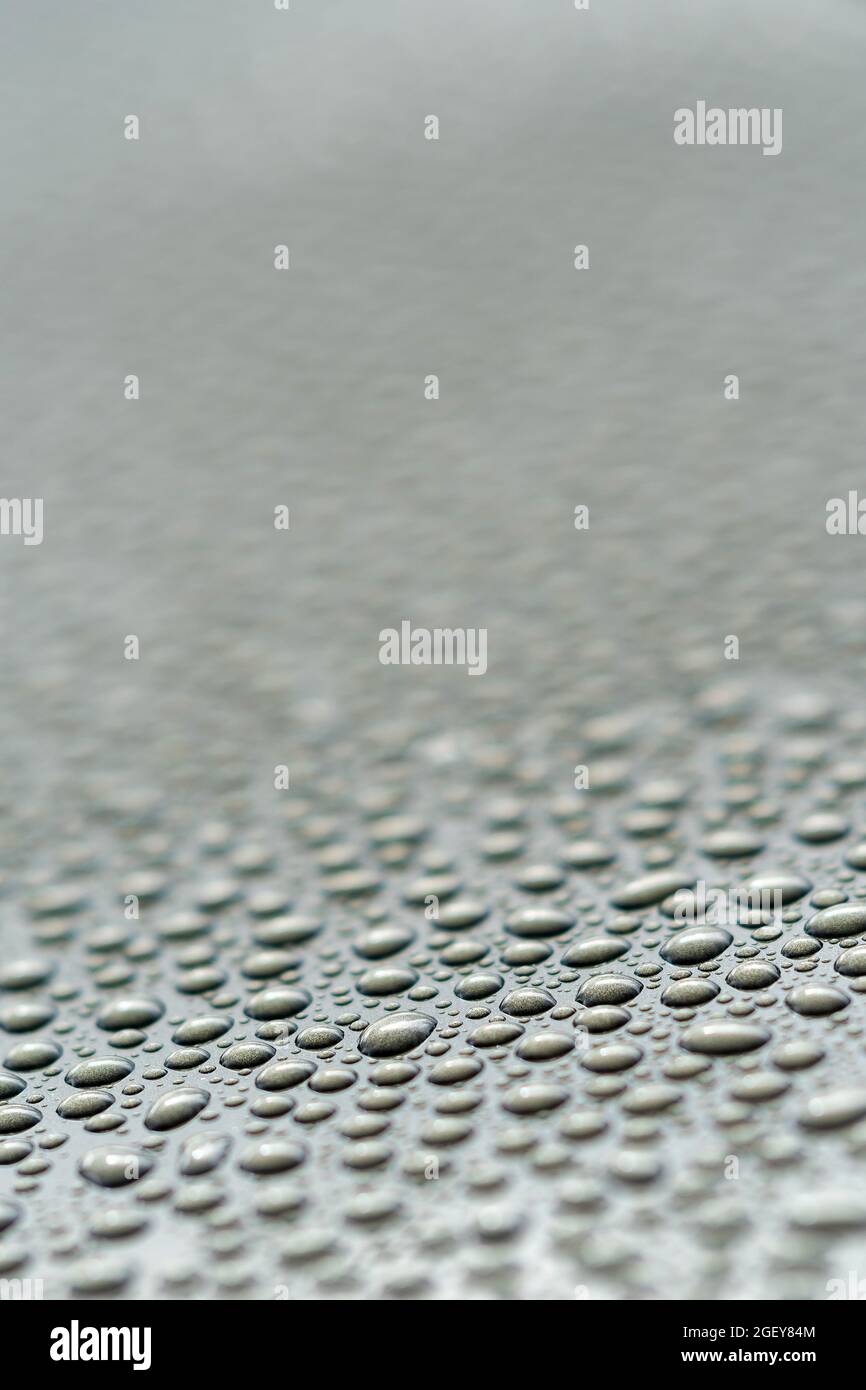 Water beading hi-res stock photography and images - Alamy