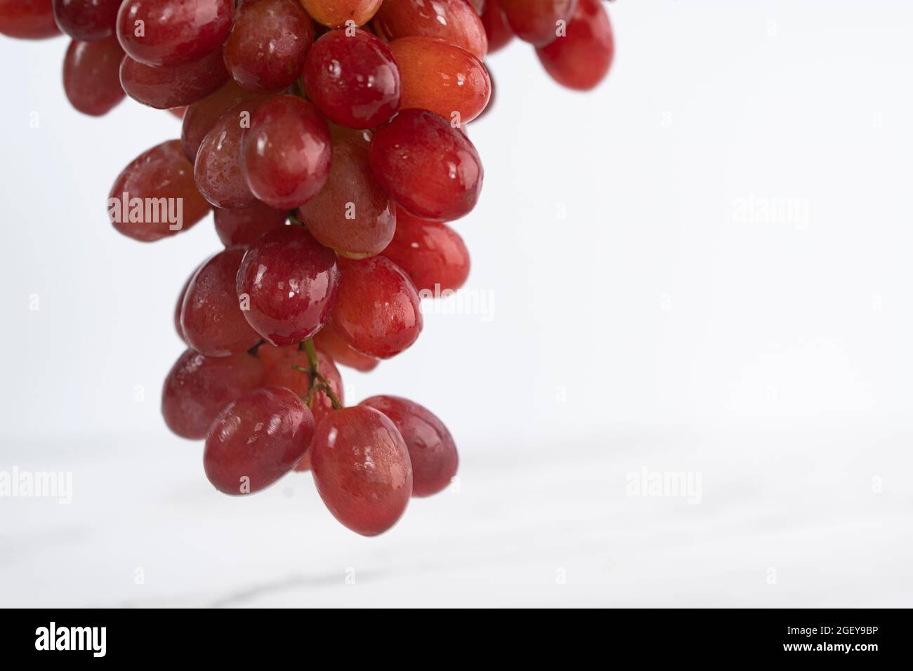 Close-up of a bunch of hanging and freshly washed grapes. Selective ...